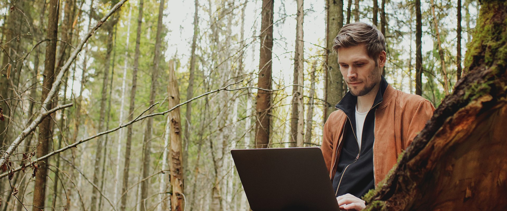 Microsoft Office 365: online werken in de cloud met Microsoft 365